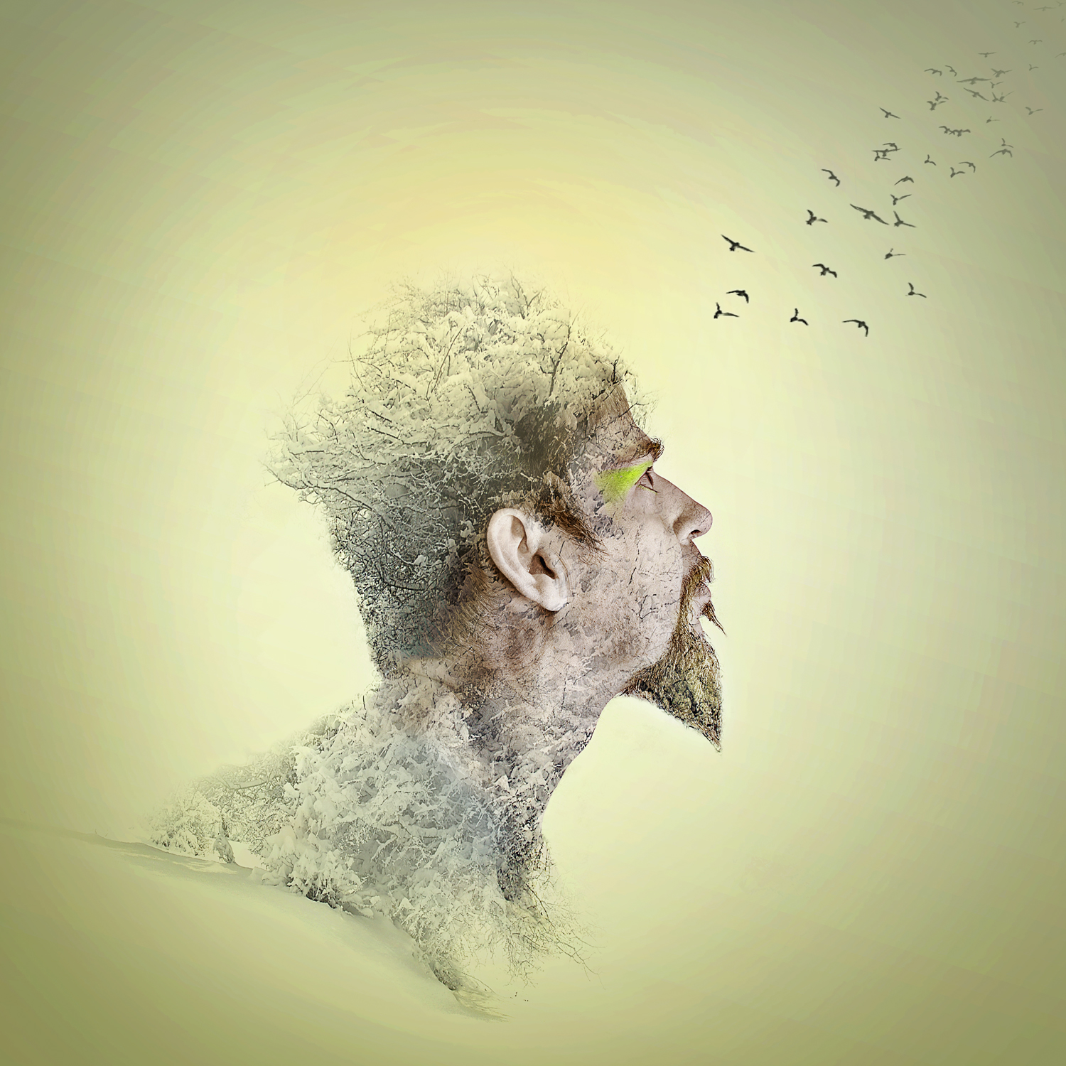 Meinolf Lipka Fotografie und digitale Gestaltung - Porträts